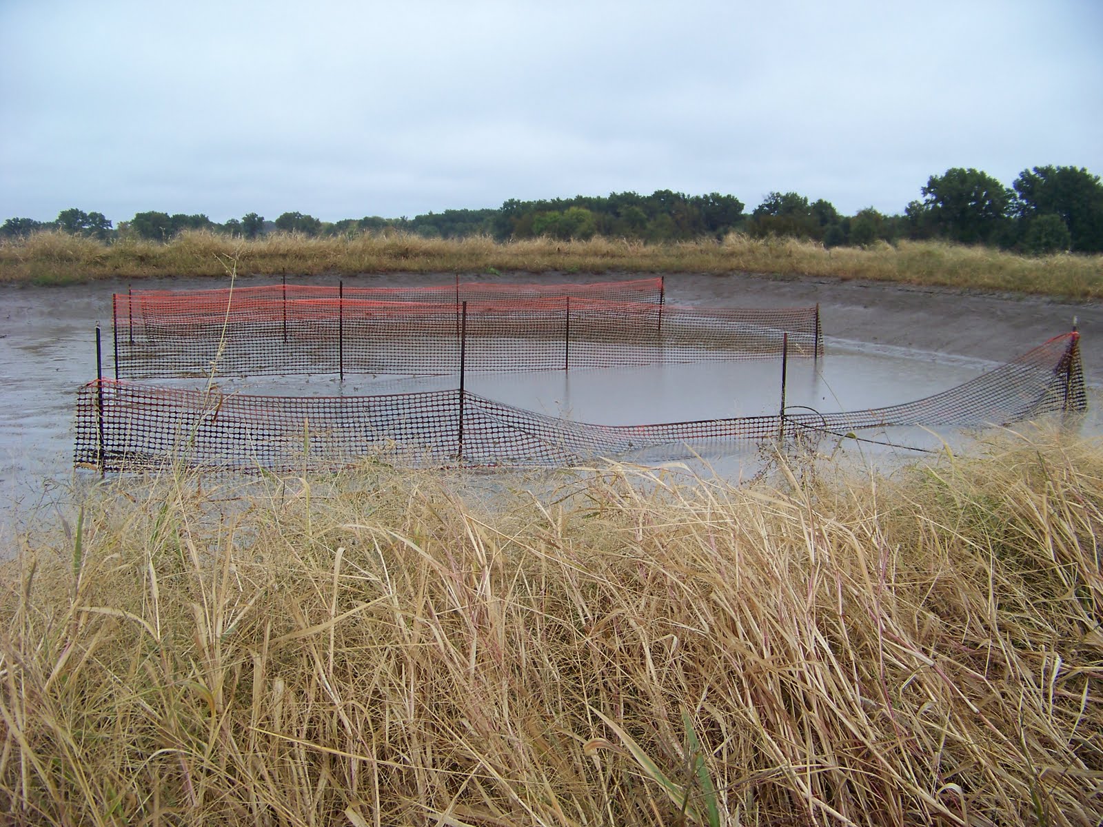 Missouri Beginning Farming: Freshwater Prawn Production in Missouri