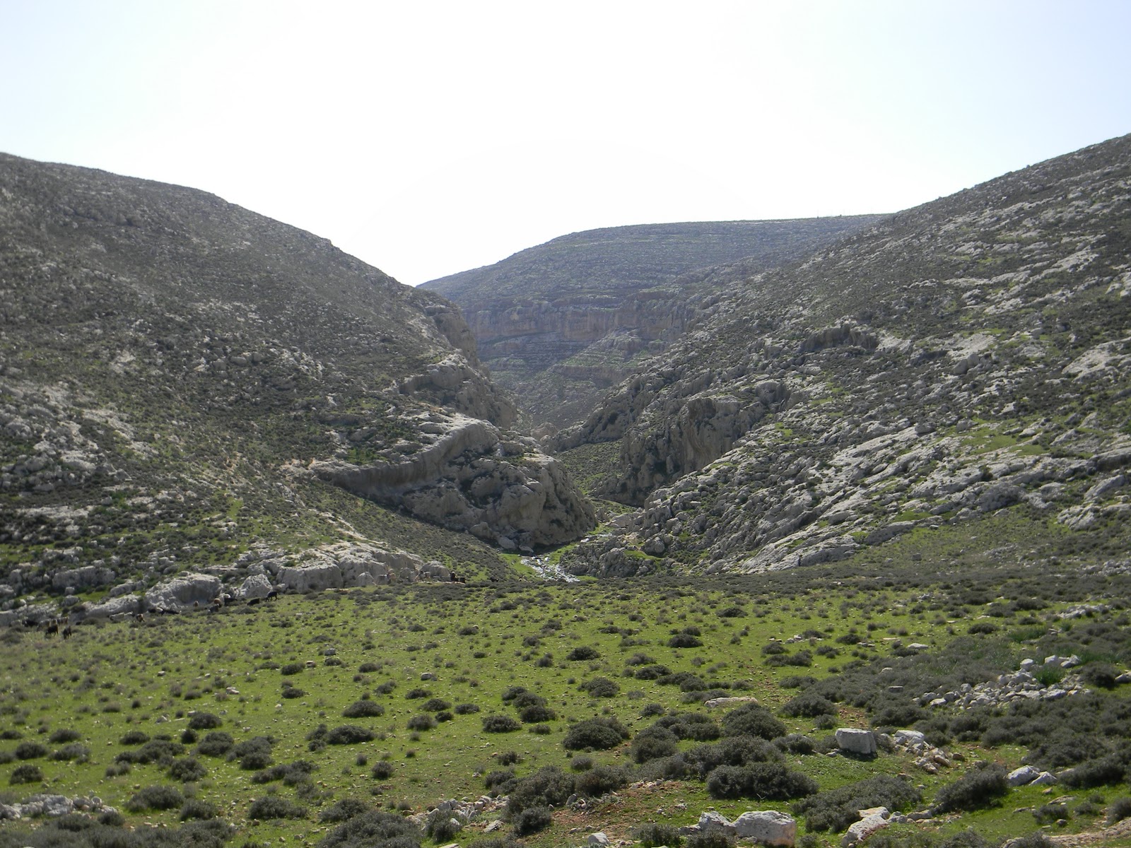 Israel: Parat Springs Hike