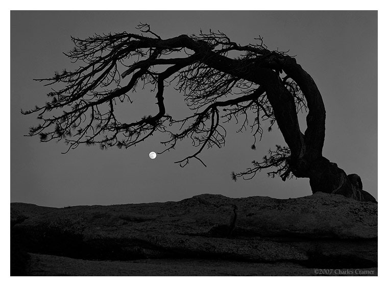 Masters of Photography: Charles Cramer