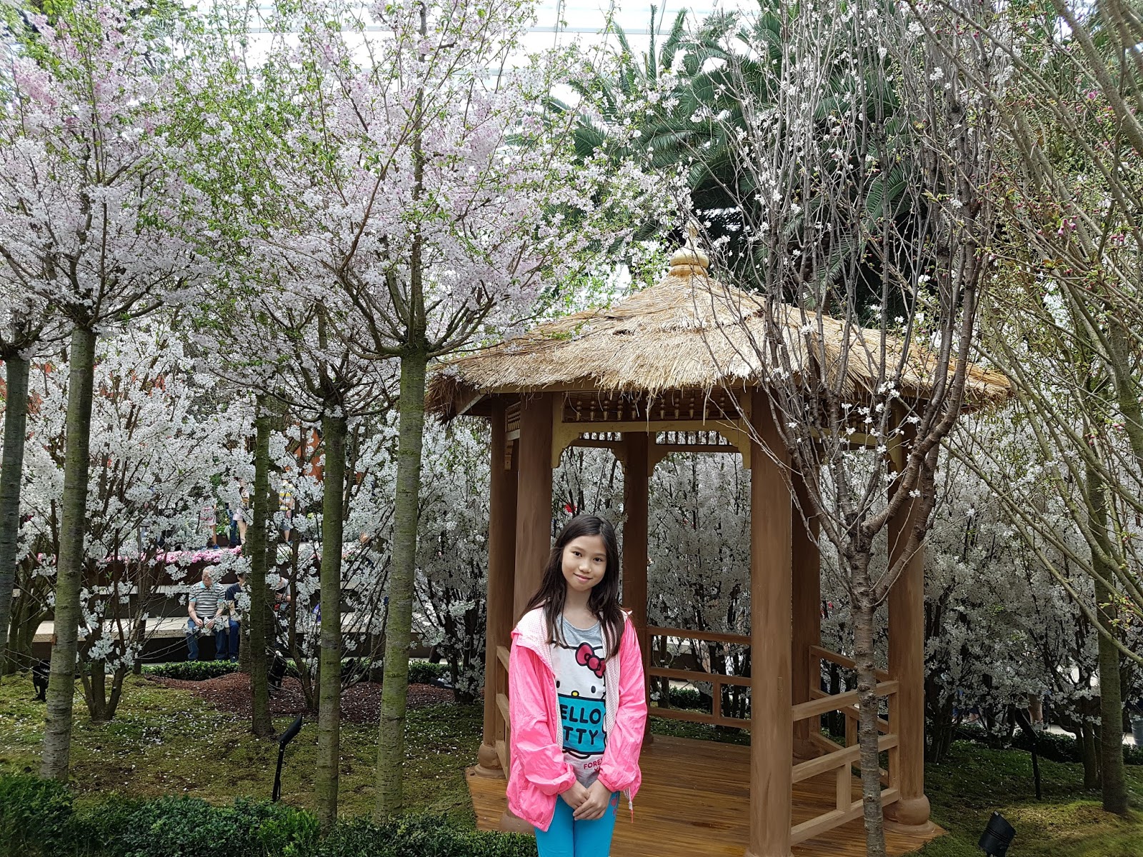 Raising Our Successful Children, Singapore Mom Blog Raising Our Successful Children, Singapore Mom Blog