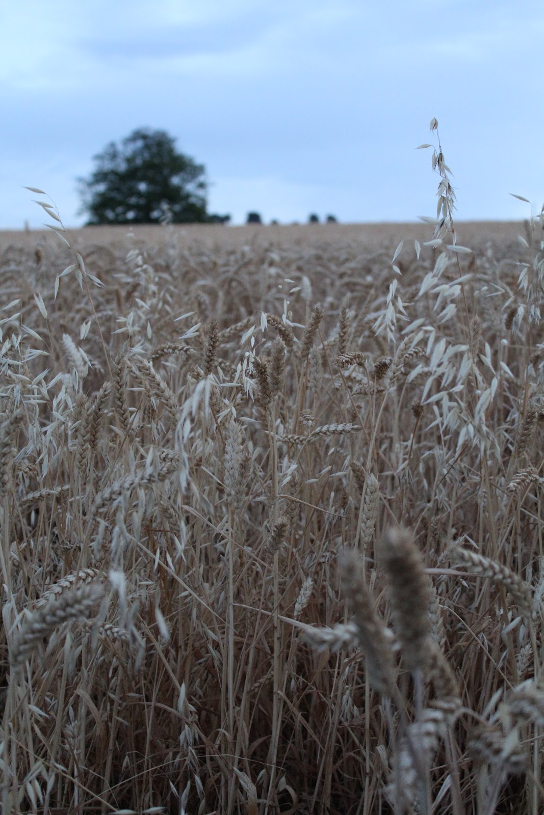 Peter Hulbert : Never A Day Goes By.