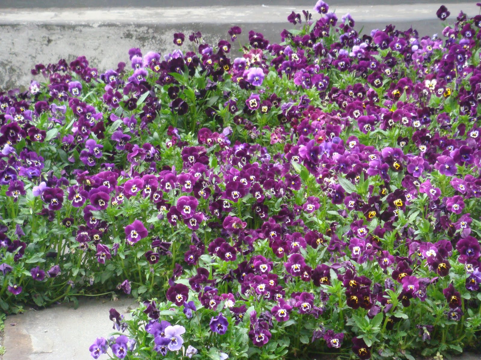 A Protest of Romance: July 2011