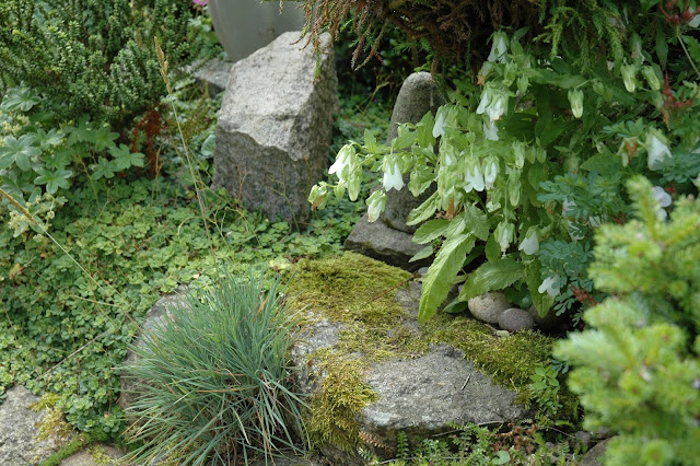 HAVETID: Havens sten og planter.