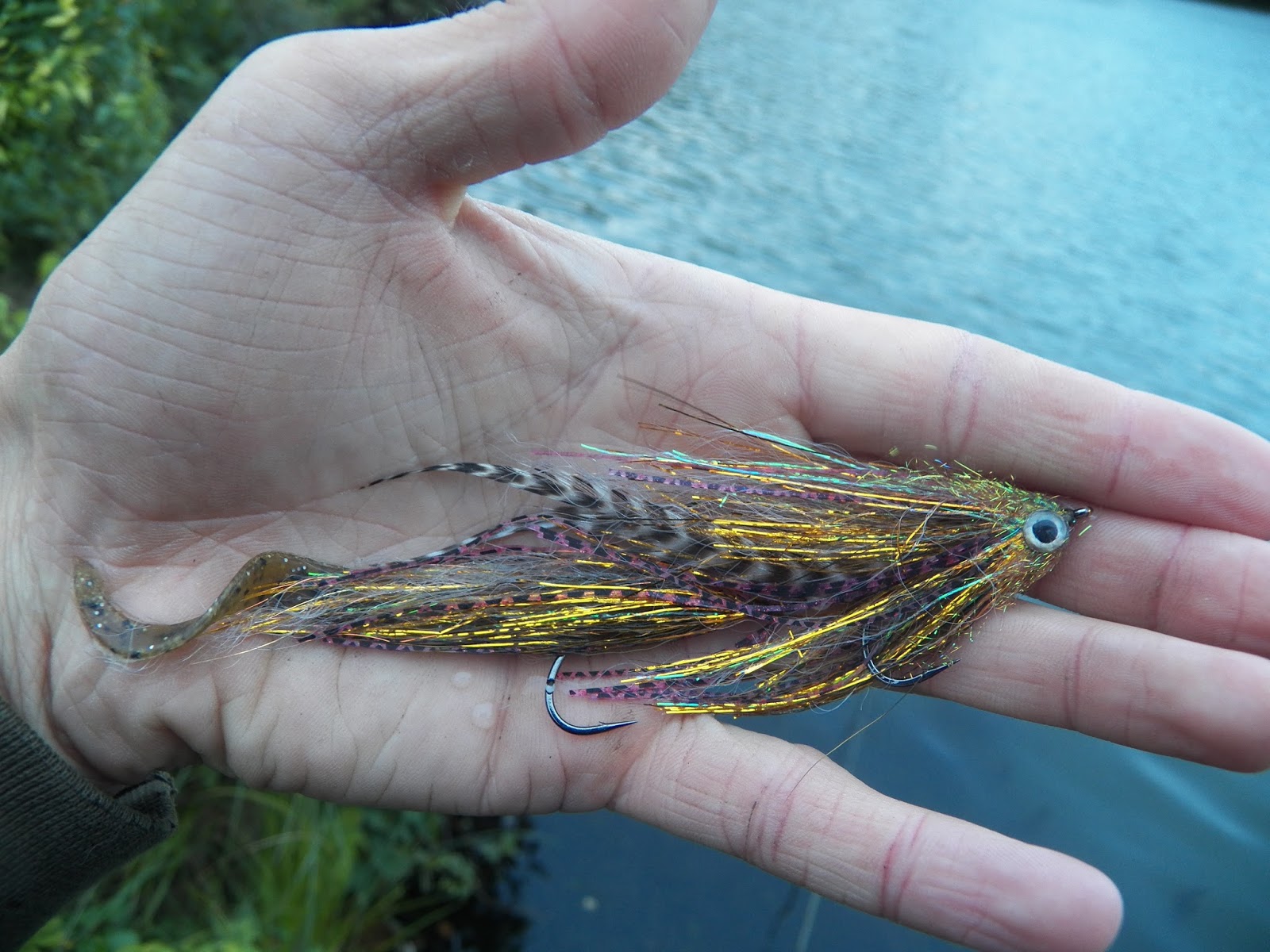 Connecticut Fly Angler: Wiggle Tails and Walleye