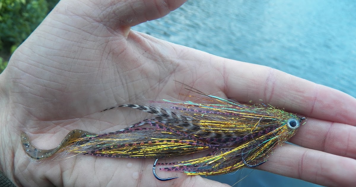 Connecticut Fly Angler: Wiggle Tails and Walleye