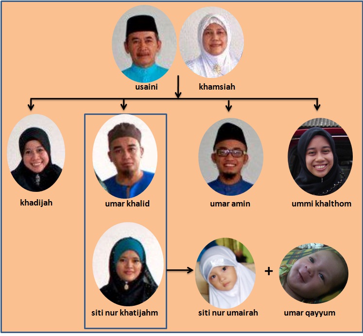 MY FAMILY TREE