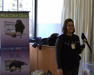 Bird Treatment and Learning Center: March 2013