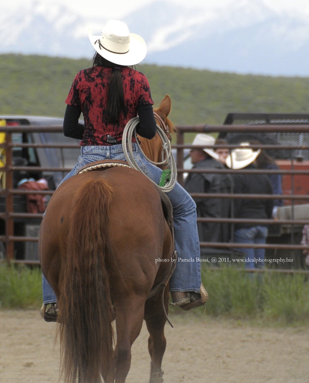 Wilsall Rodeo