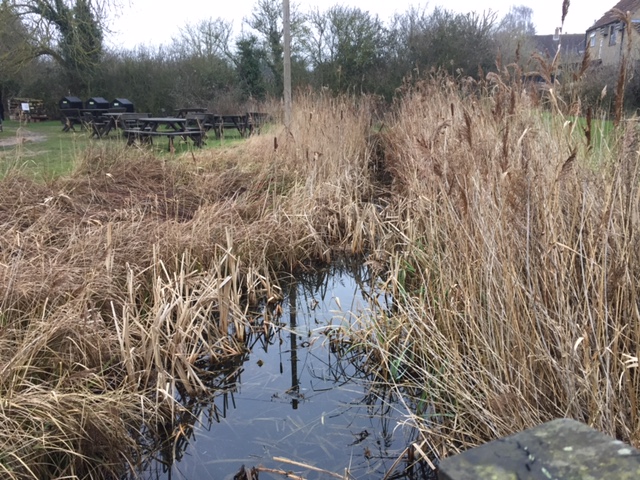 National Trust Scones: Wicken Fen
