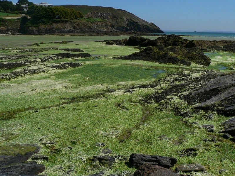 Pollution et actvités humaines: Pollution nitrates