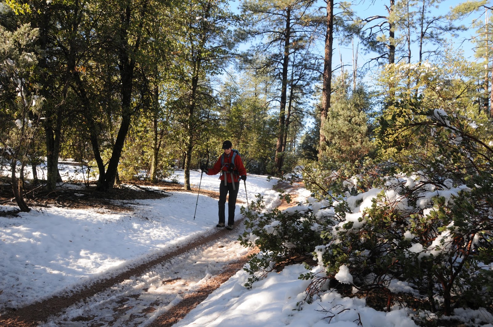 Arizona Hiking: SNOW HIKING IN PAYSON