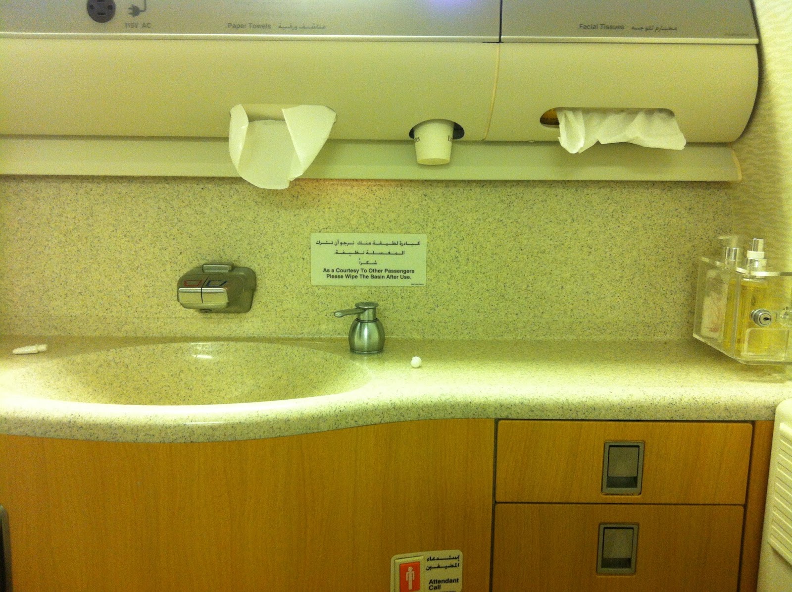 VOO EMIRATES EK 262 - GRU-DXB - Mundo A