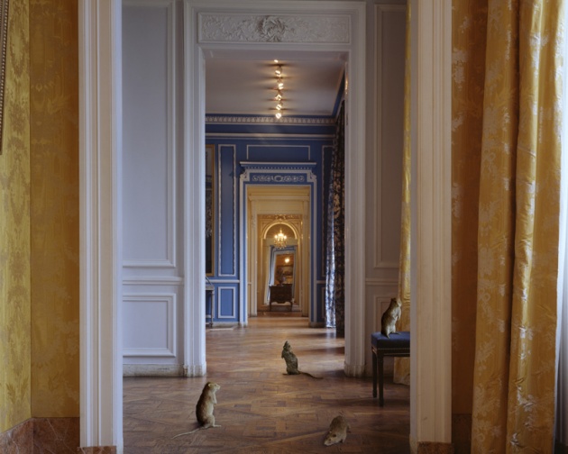 loveisspeed.......: Château Animals by Karen Knorr