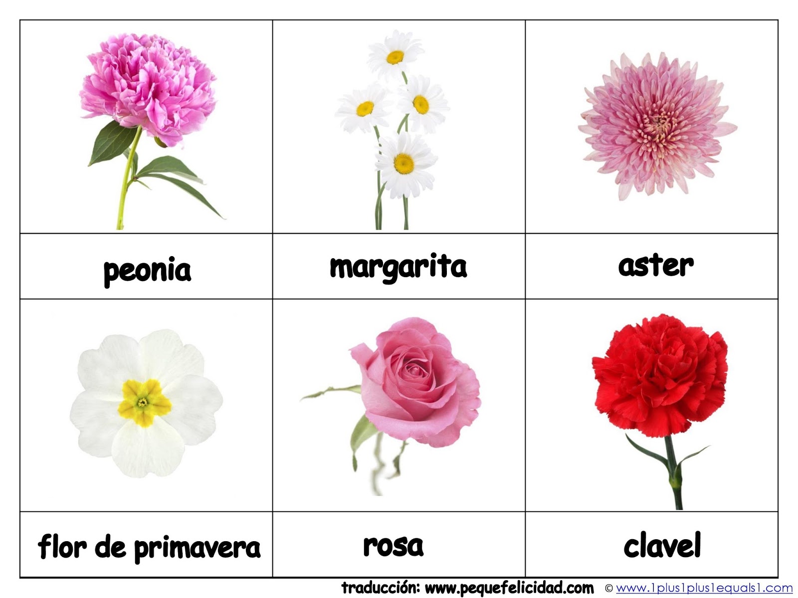 PEQUEfelicidad: CUADERNO DE NATURALEZA. Reto 3 Primavera para niños