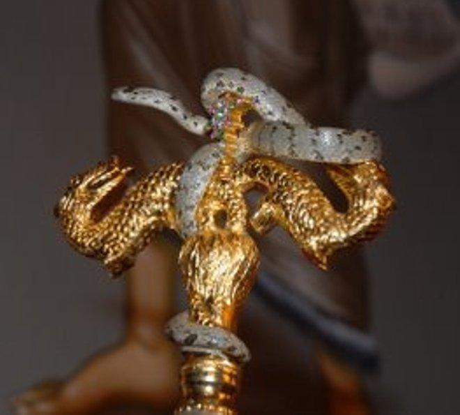 The Snakes of the Panagia in Kefallonia (Videos and Photos) | MYSTAGOGY ...