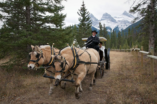 Alpine Peak Photography: Canmore Wedding Photographer - Cindy & Barry ...