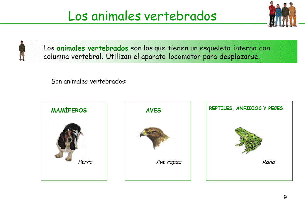 MED 114: REINO ANIMAL: VERTEBRADOS-MAMIFEROS