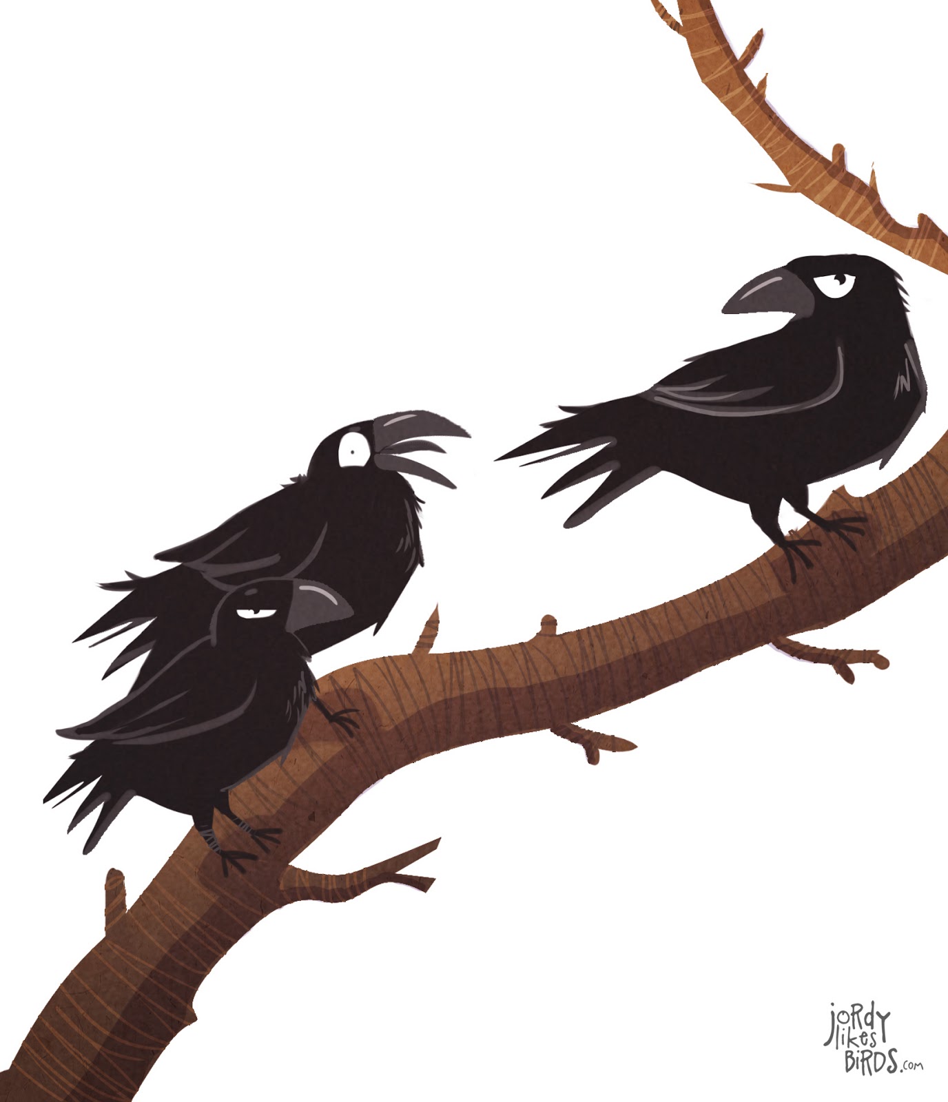 jordylikesbirds: 3 Crows