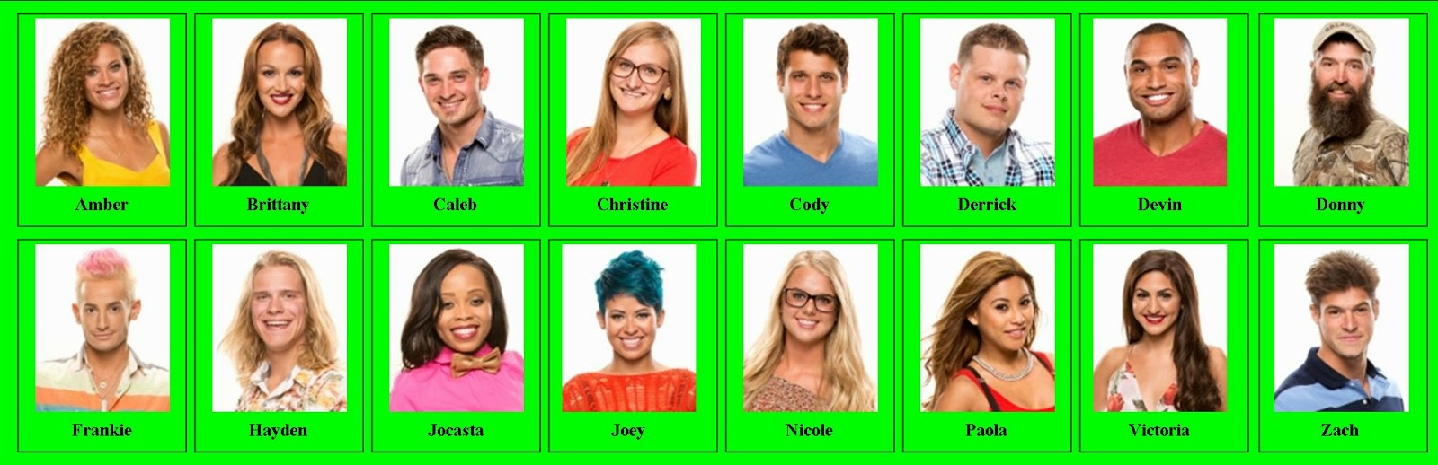 Big Brother Big Mouth: BB Houseguests