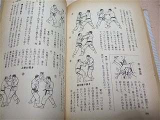 Isshin - Concentration the Art: Introduction to Shorinju Kempo by So Doshin