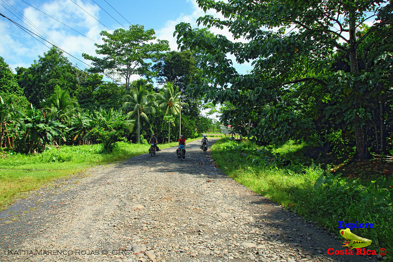 Palenque Margarita -San Rafael de Guatuso, Alajuela- | Explore Costa Rica