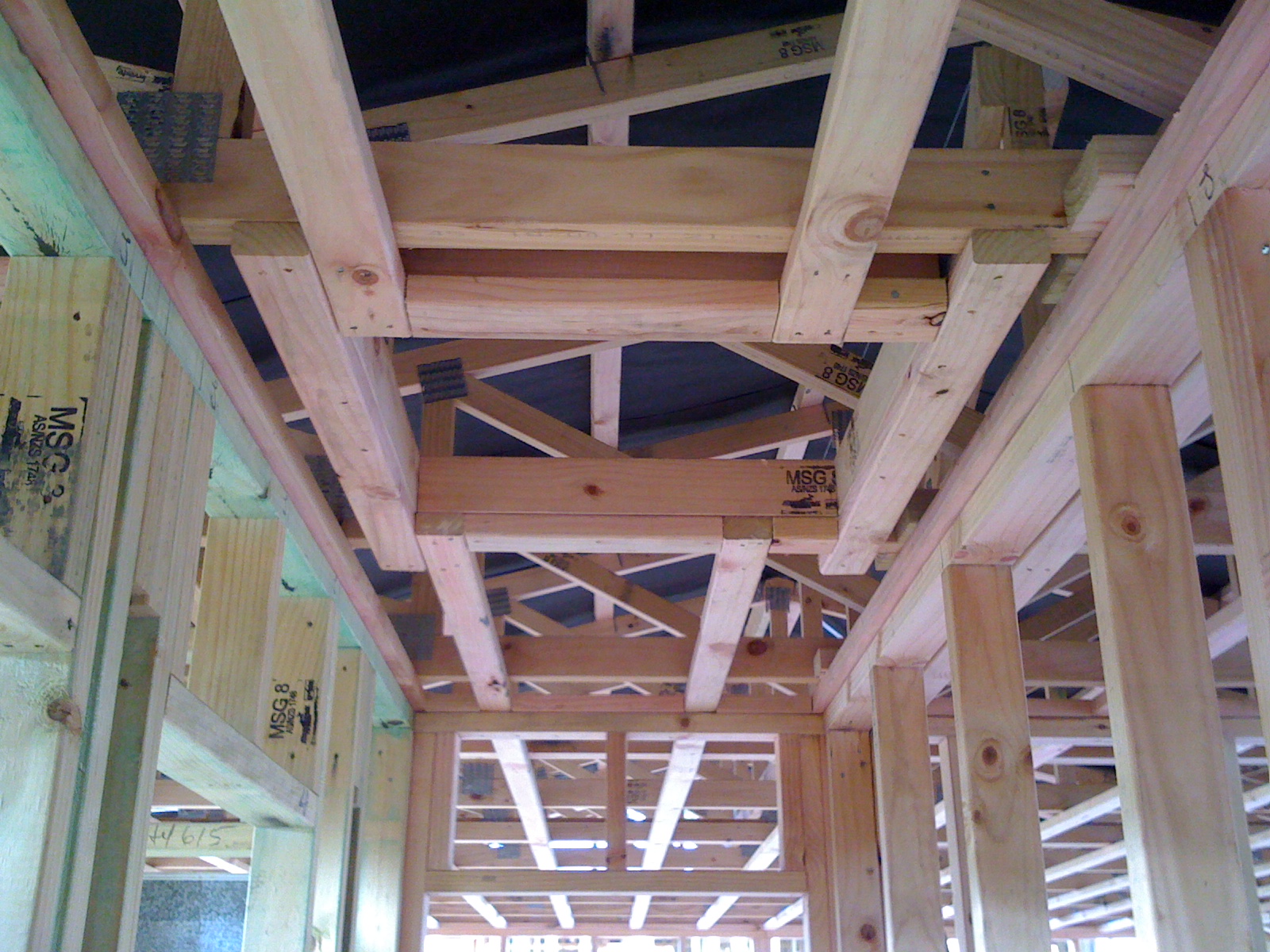 Robert Teh: week 15 unitec carpentry 29 june - 1 july 2011