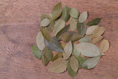 Despierta : Los Incas, hermosa cultura.