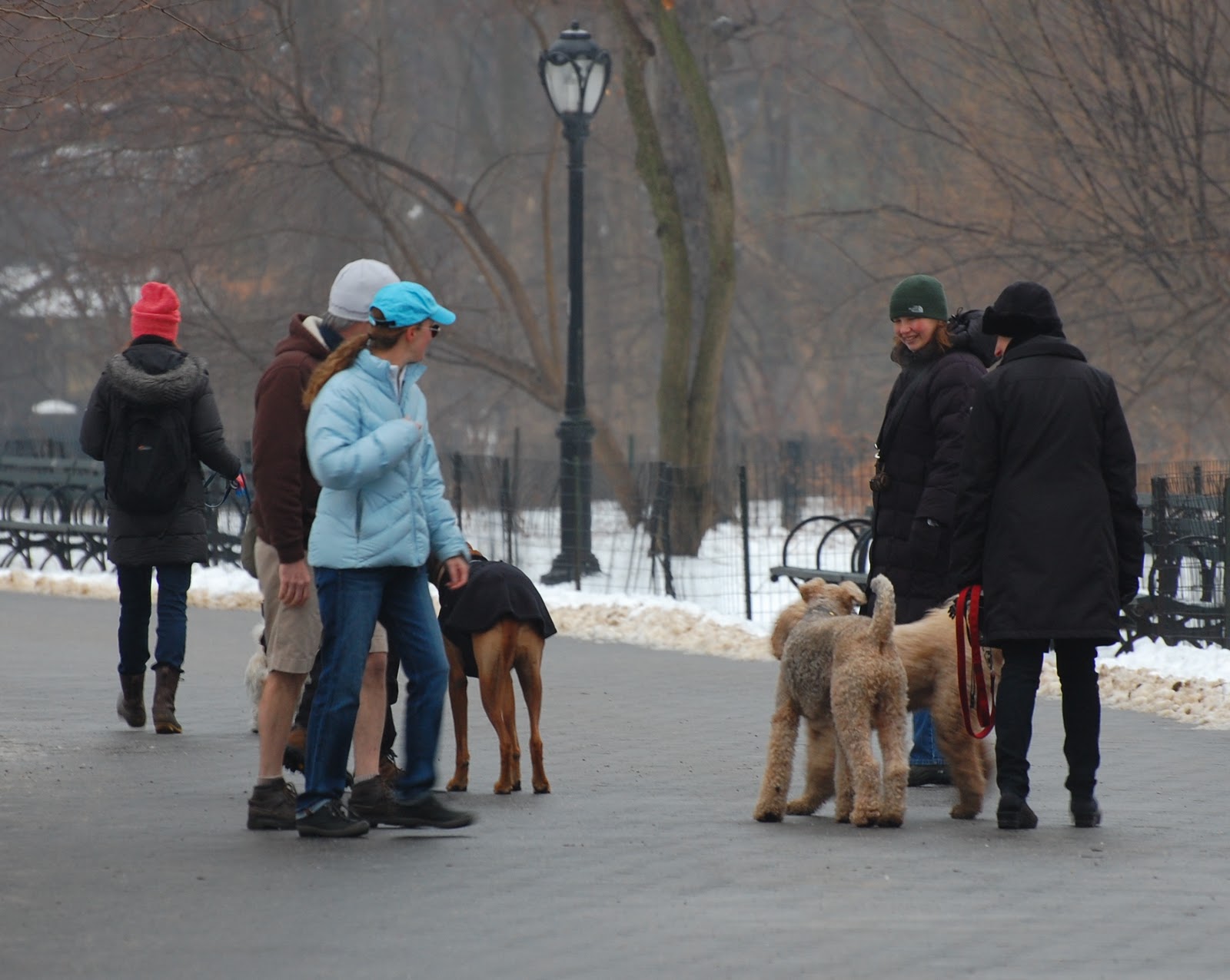Monkey Puzzle Blog: January 2012