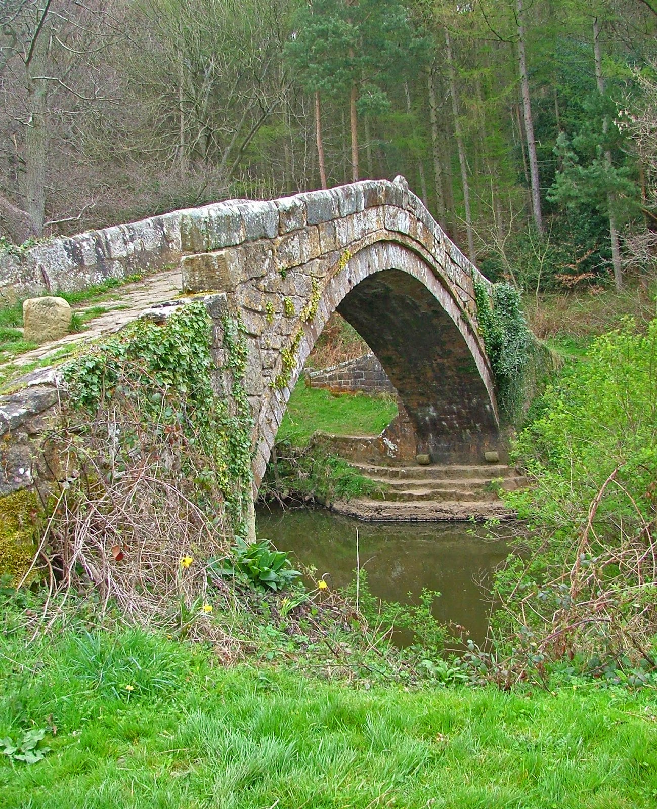 IMAGECAPTURER.: BEGGARS BRIDGE----GLAISDALE.