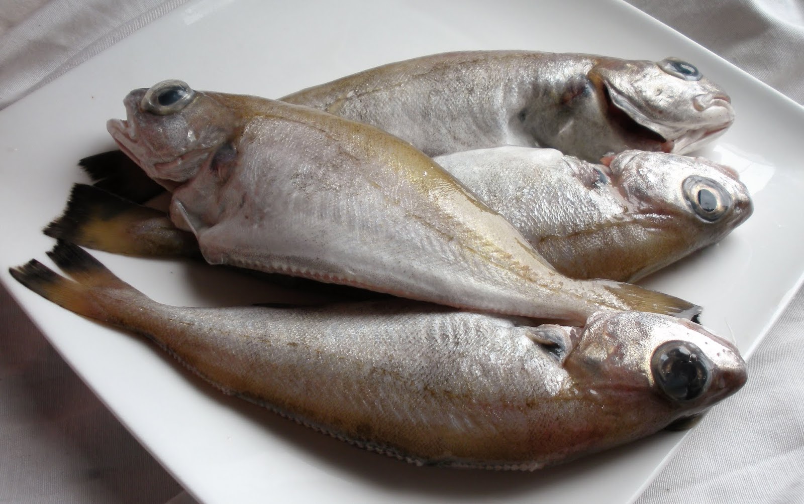 Aquí se cocina: Fanecas fritas