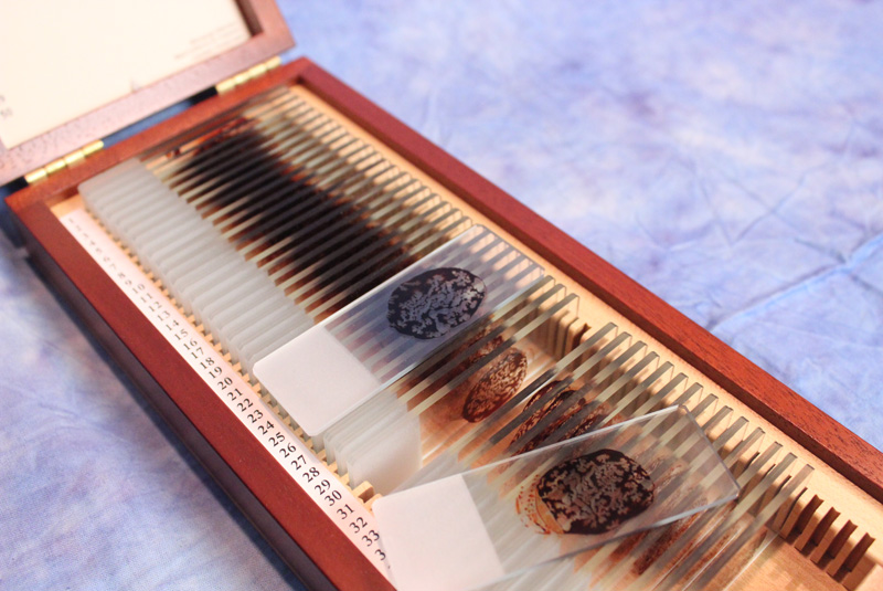 The Project Workbench: Dexter props - Kill Knife, Blood Slide Box, ID ...