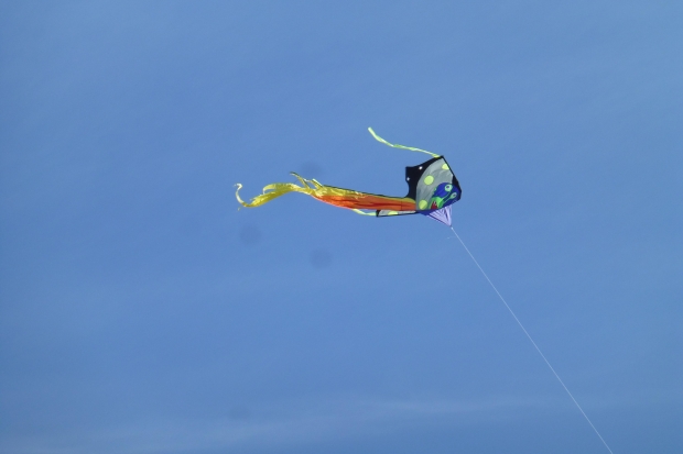 Topical Tens: 27th March: Fly a Kite Day