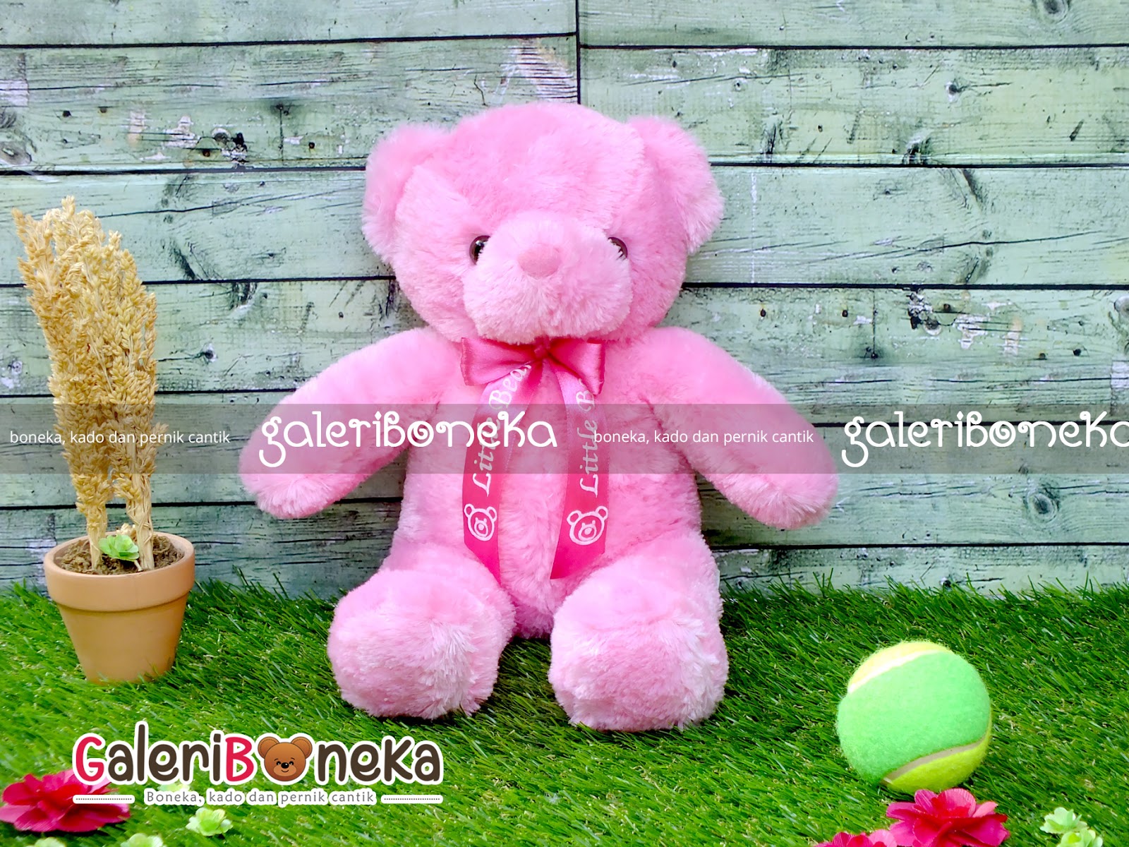 Boneka Little Teddy Bear Pink Ukuran Medium ( BT - 190325 ) | Galeri Boneka