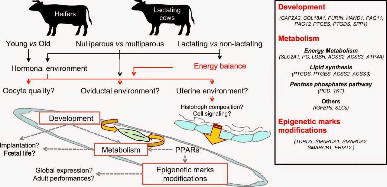 INNSpub | Blog site - Research Journal Publisher