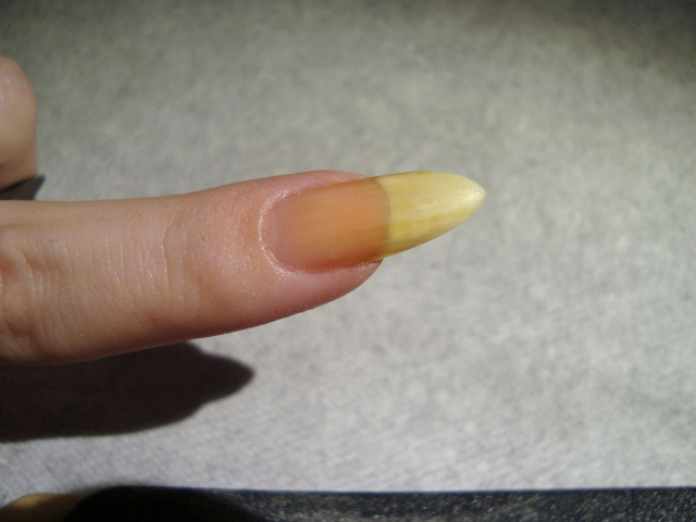 Sharpening My Claws | Pretty Girl Science