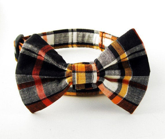 The White Dog Blog: Dogs and Halloween: Subtle Collars