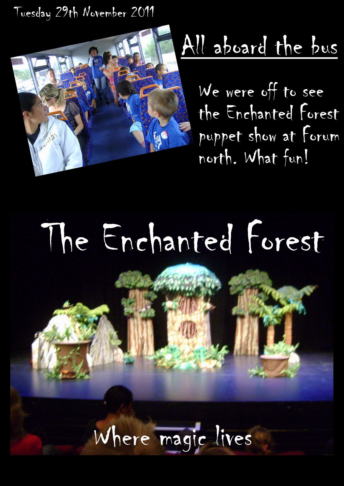 Bream Bay Kindergarten: The Enchanted Forest Puppet Show