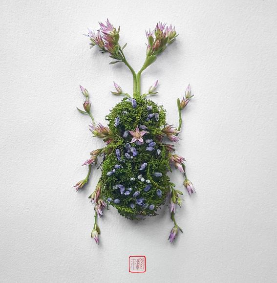 the swiss lounge: raku inoue