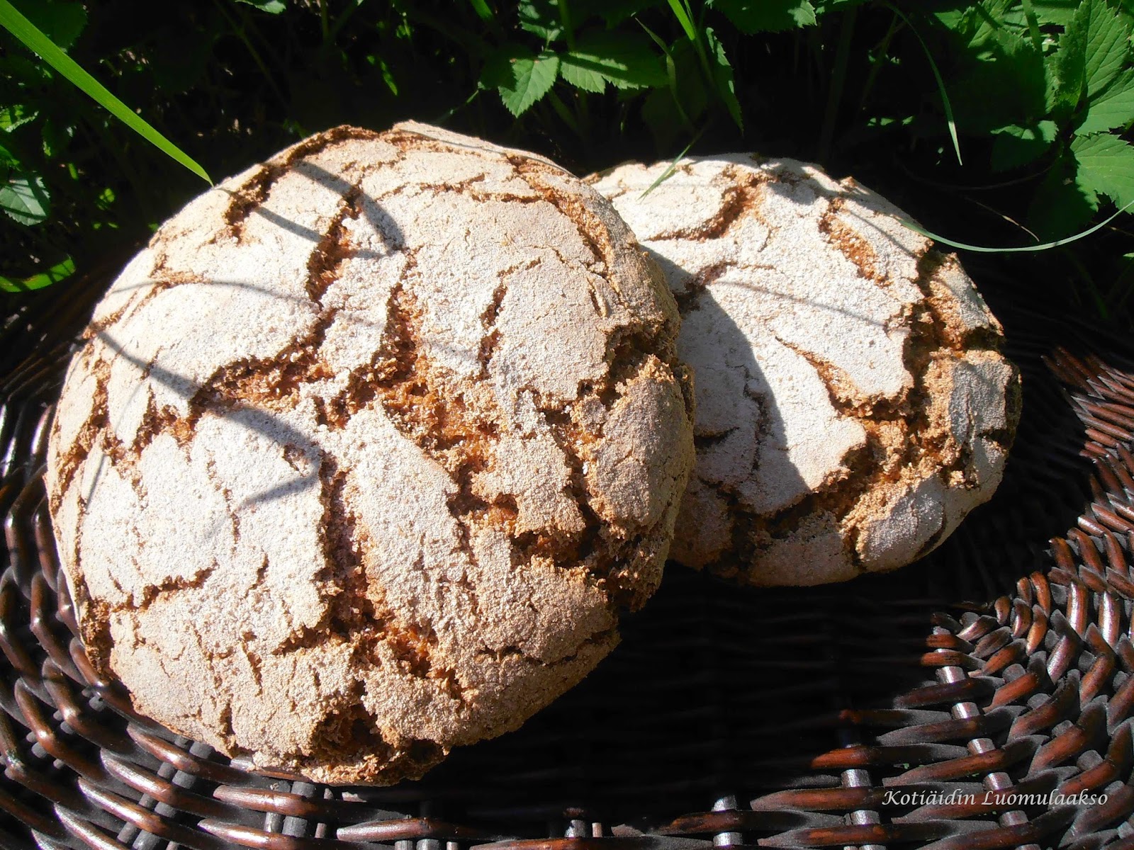 Luomulaakson Ruokakori : Ruisleipä juureen