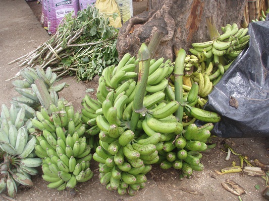 Trautz' travel saga: Colorful Port Vila, Vanuatu Sept/Oct 2012