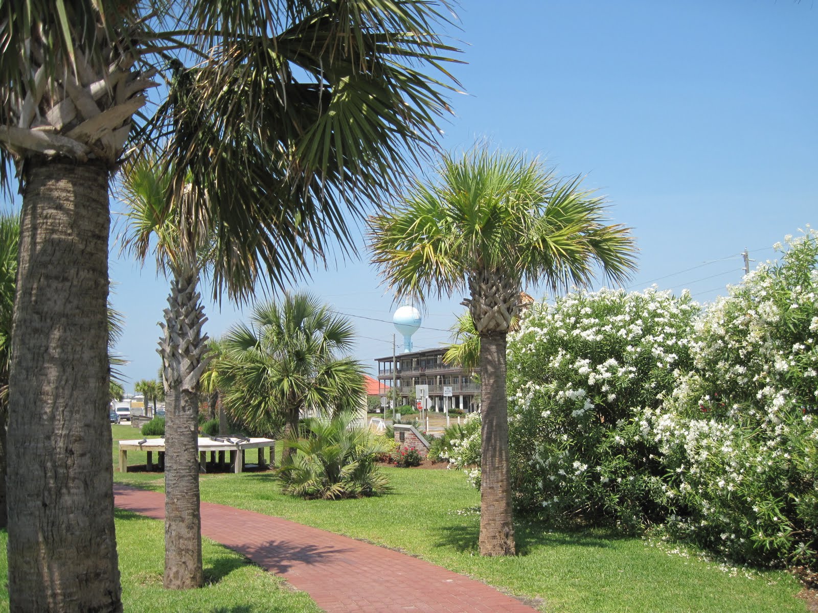 Spring Trip 2011: St. George Island State Park, St. George, Florida
