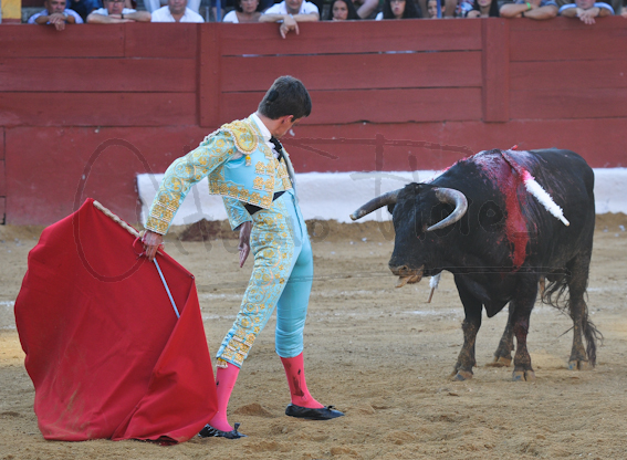 Fotos taurinas: David Galván toreando en San Fernando