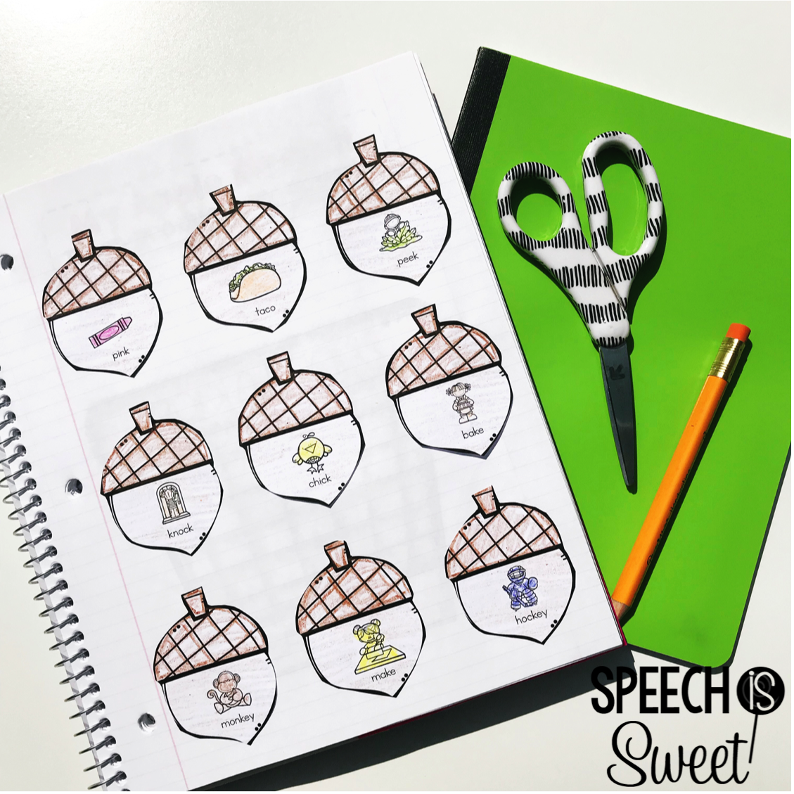Fall Interactive Articulation Notebooks - Speech is Sweet