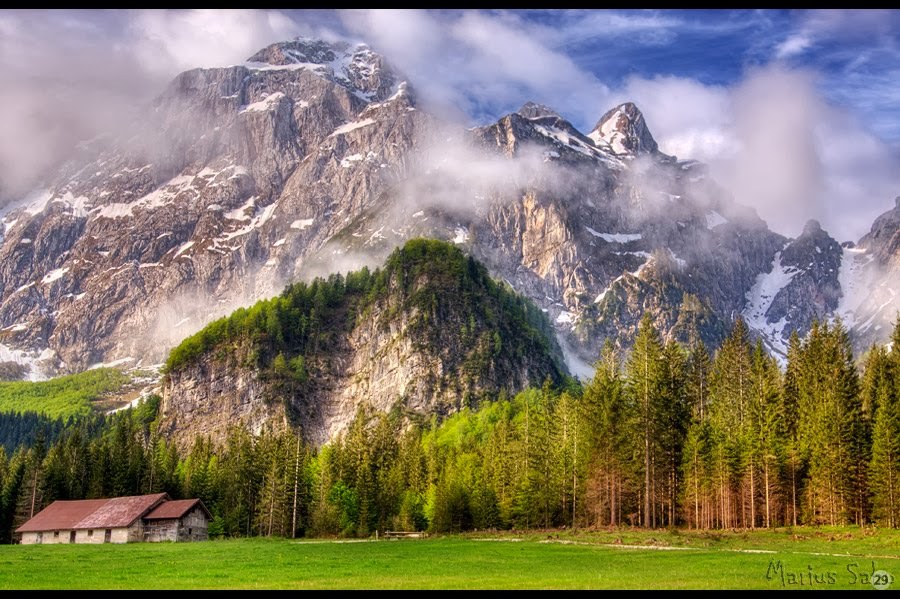 NATUREZA E MEIO AMBIENTE