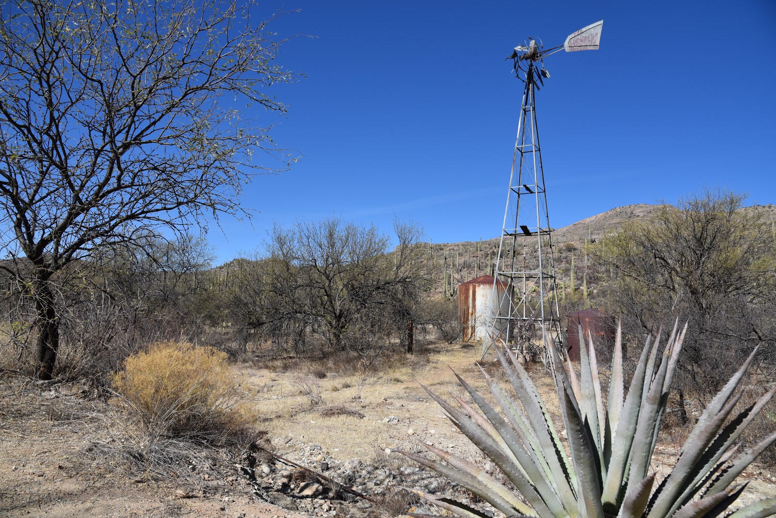 Arizona Hiking: HOPE CAMP TRAIL