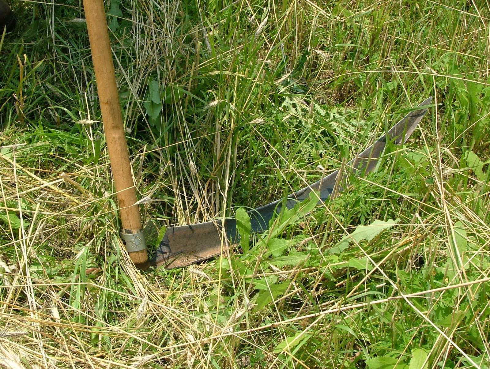 Macabre Republic: Anatomy of a Weird Tale: "The Scythe"