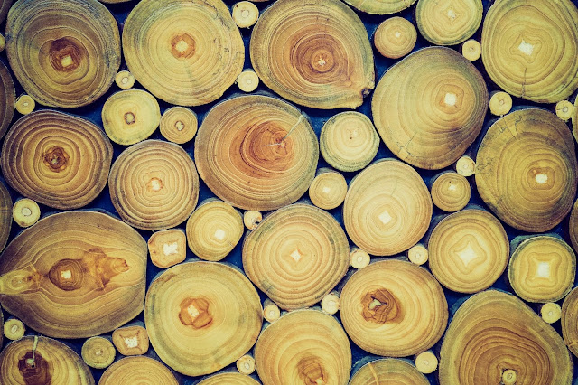 La dendrocronología - DENDROLOGIA PARA LA VIDA