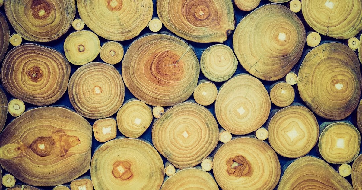 La dendrocronología - DENDROLOGIA PARA LA VIDA