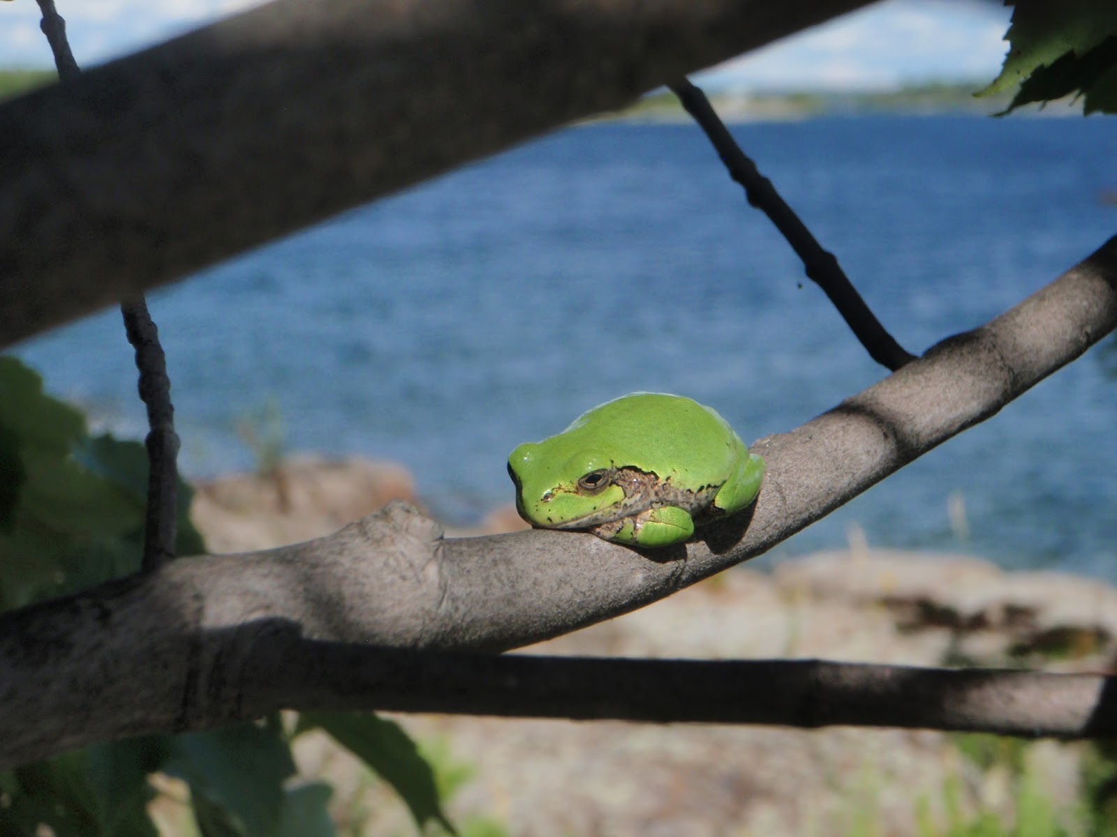 TerryLynnJohnson: Kayak north shore Lake Huron