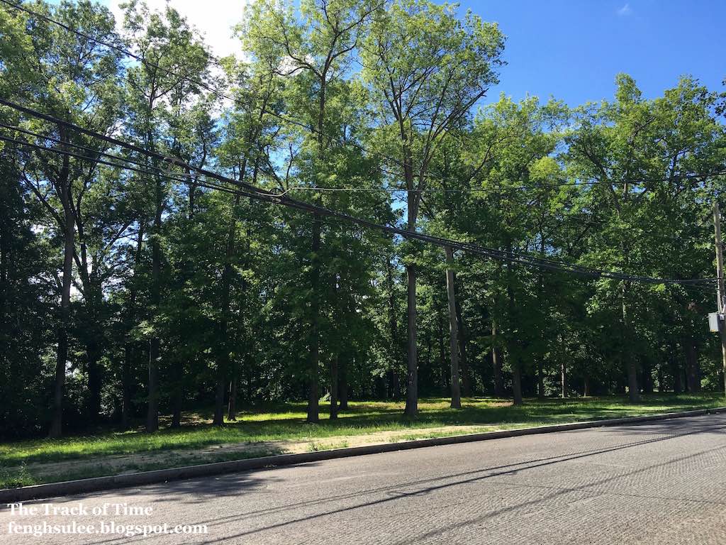 Pope Park | The Track of Time